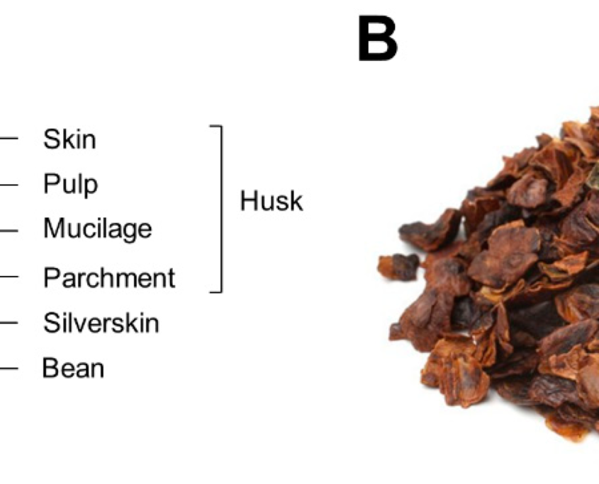 COFFEE HUSK SUPPLIER FROM INDONESIA - BIO AGRI INDO